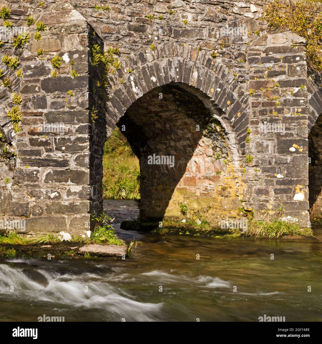 Autumnal view of the late medieval, stone 5 arched, Landacre bridge ...