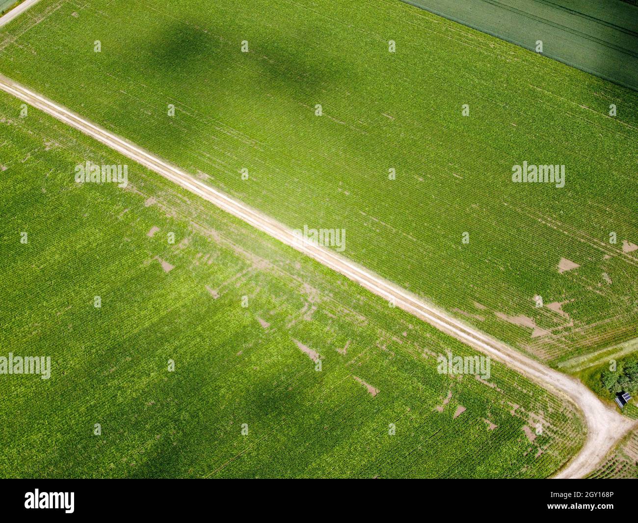 Aerial view of an agricultural field with grain planted in spring in ...