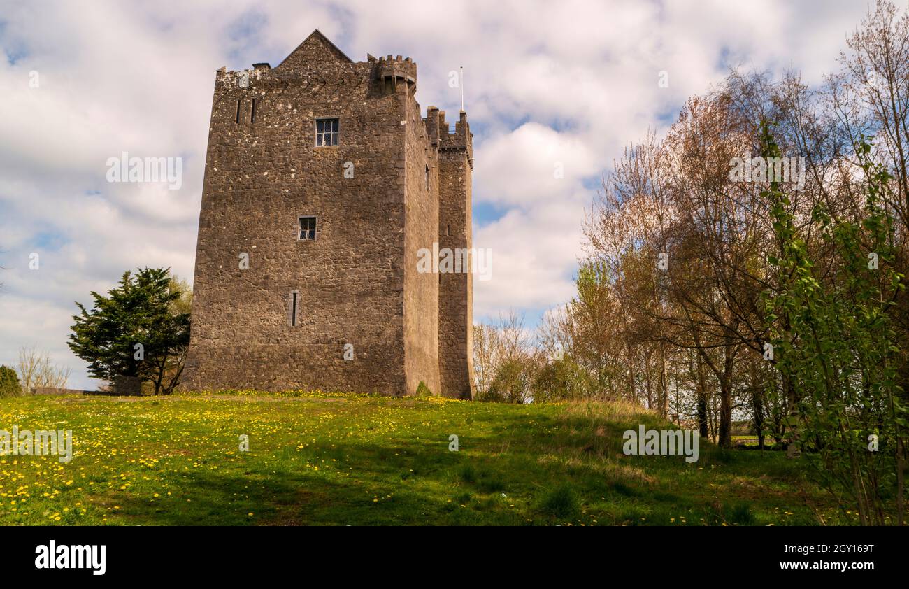 Well preserved medieval building of the Irish Towerhouse Stock Photo ...