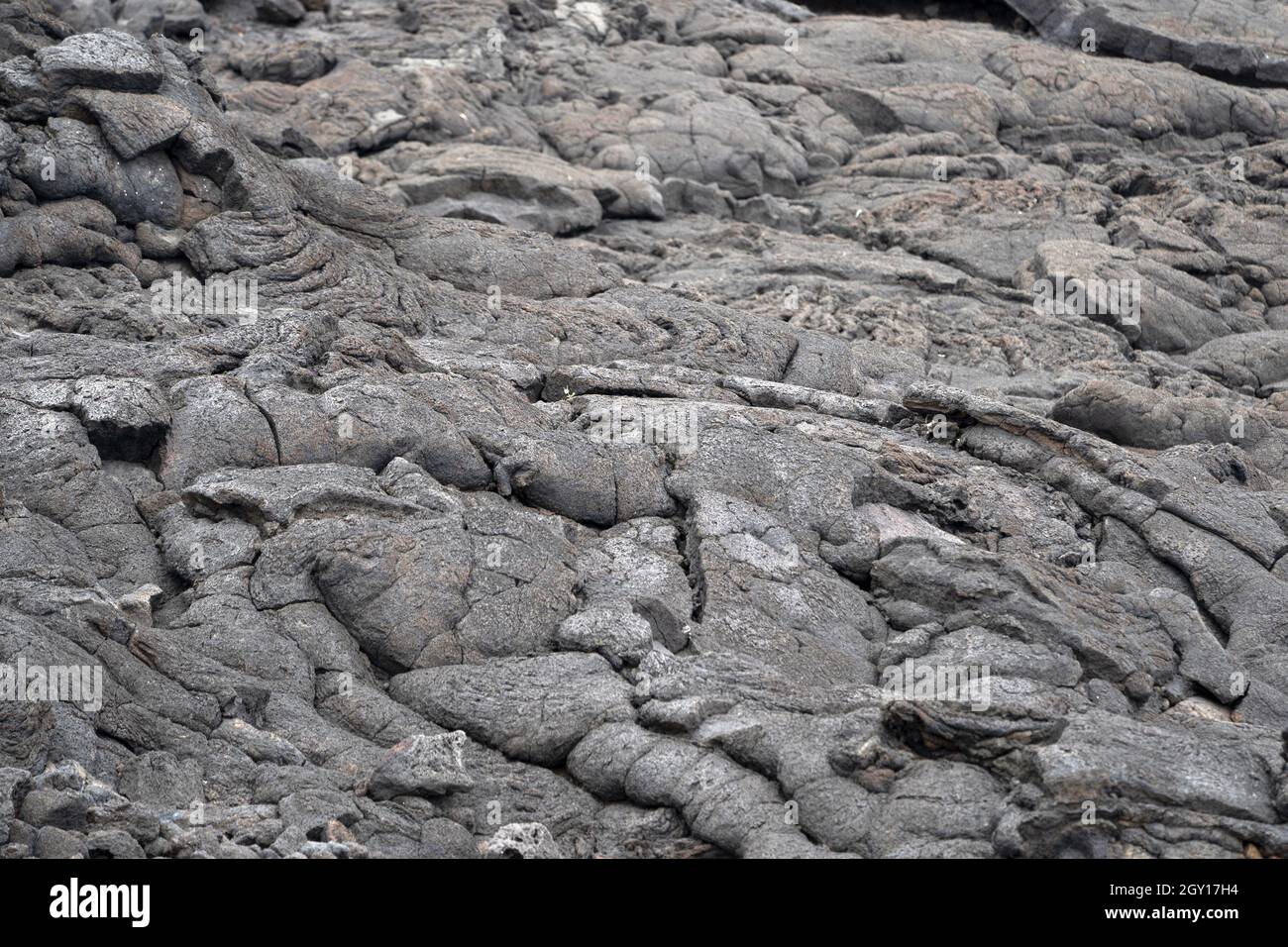 Pico island lava fields rocks wall Stock Photo - Alamy