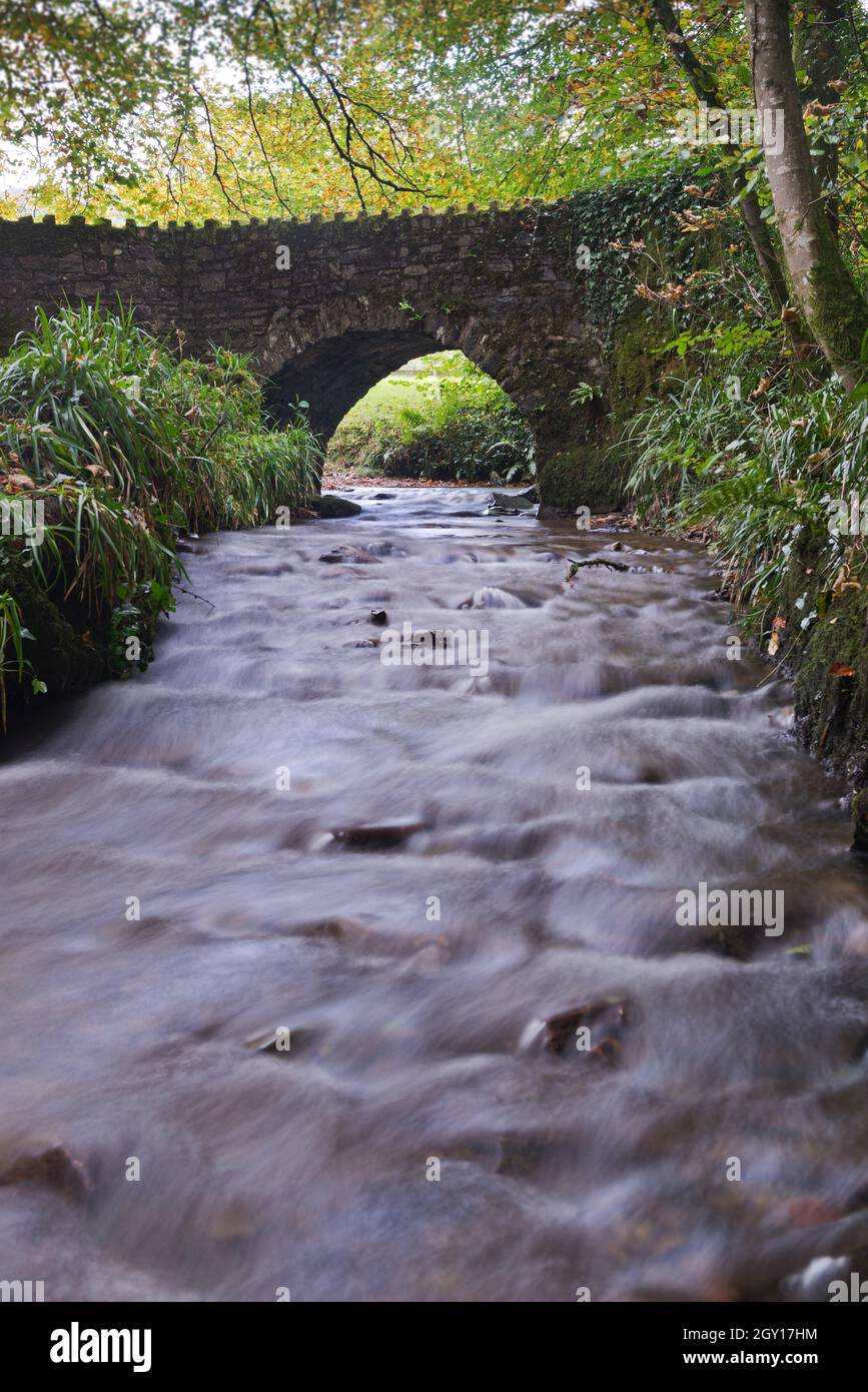 Autumnal view of a stream passing under a small stone bridge to join ...