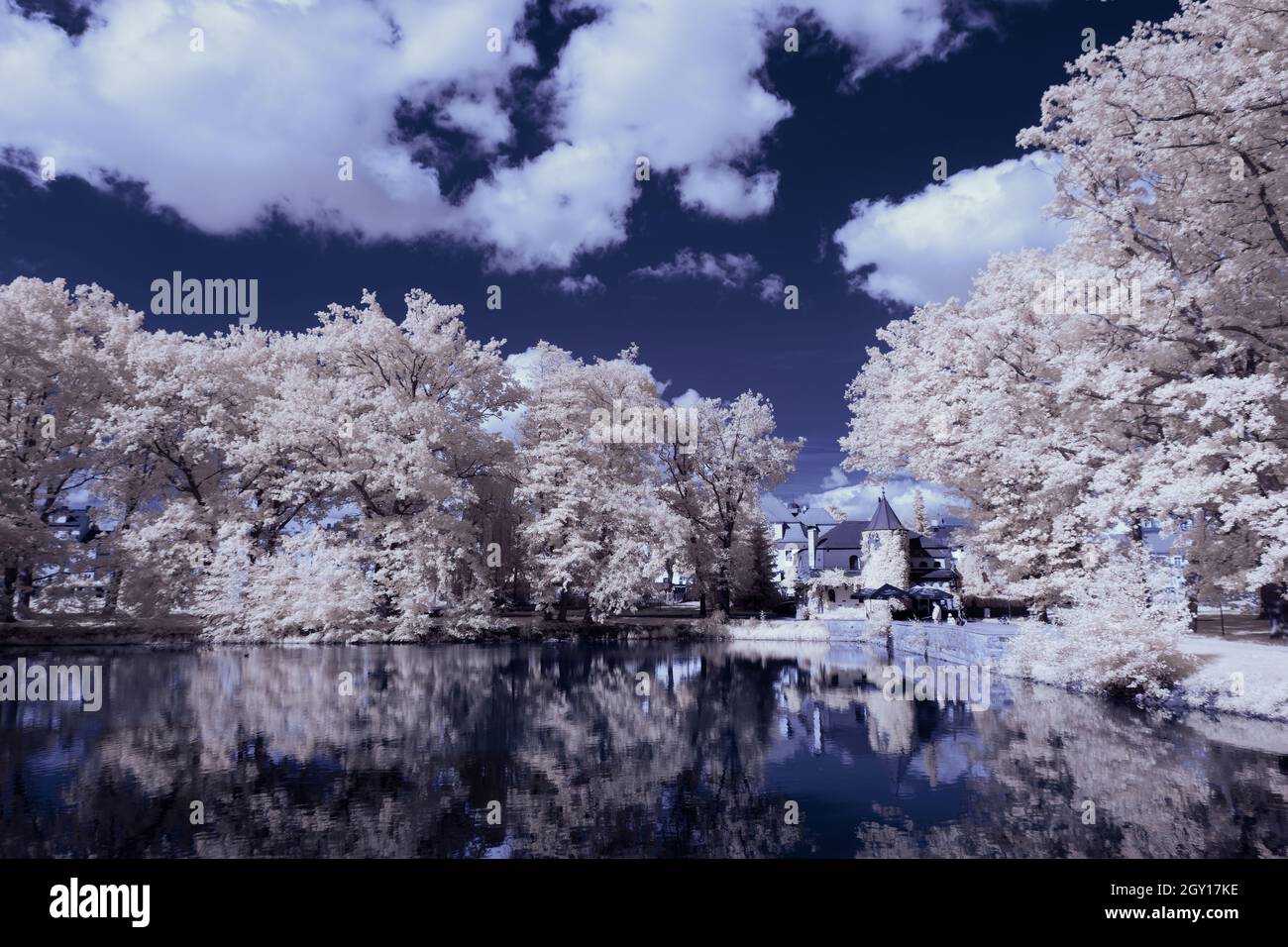 infrared photography - surreal ir photo of landscape with trees under ...