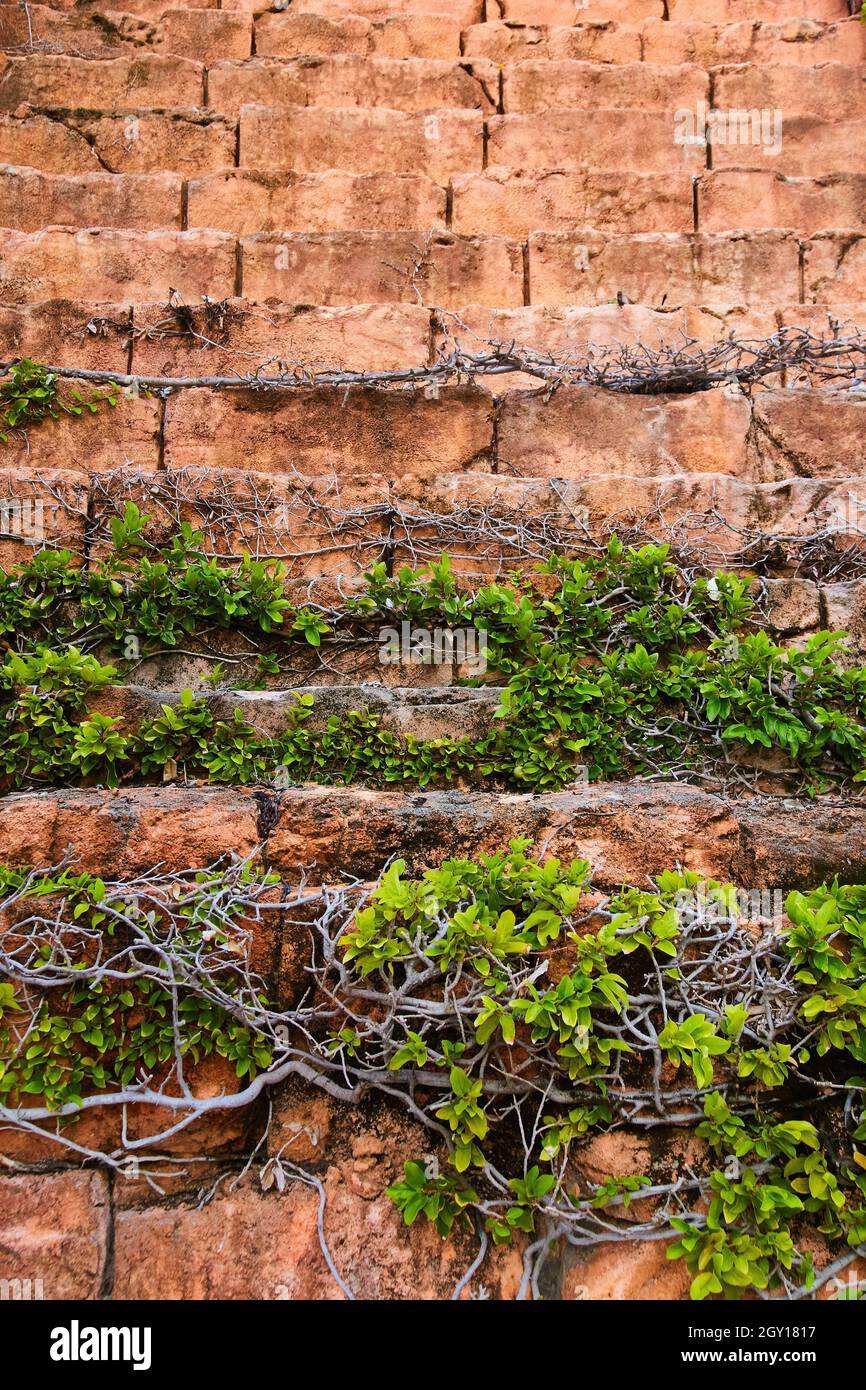 Red brick wall and stone steps hi-res stock photography and images - Alamy