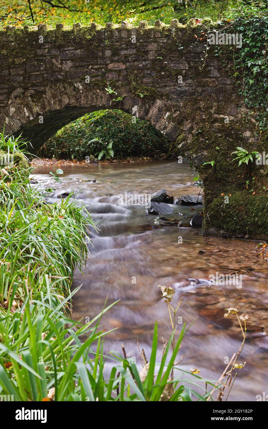 Autumnal view of a stream passing under a small stone bridge to join ...