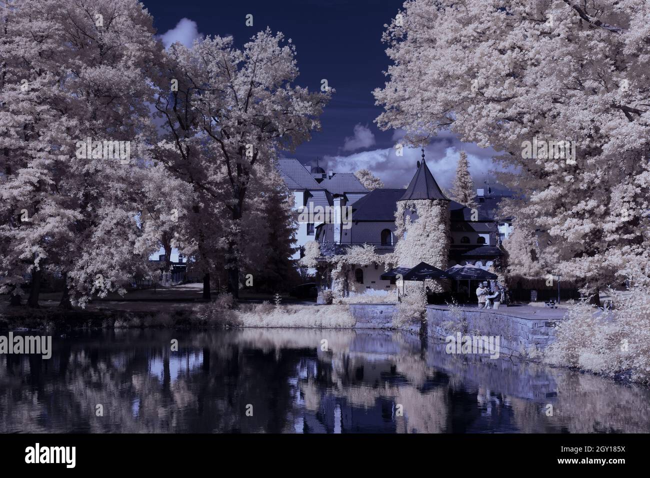 Infrared landscape with glowing white vegetation using 720nm filter ...