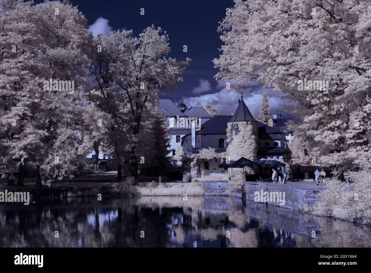 Infrared landscape with glowing white vegetation using 720nm filter ...