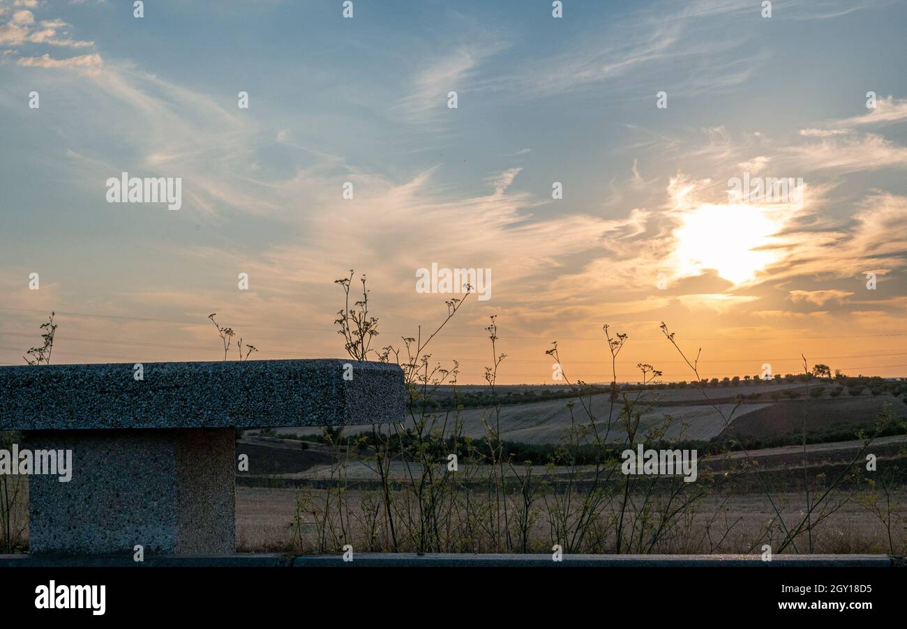 Beautiful bright sunset over a wild field Stock Photo - Alamy