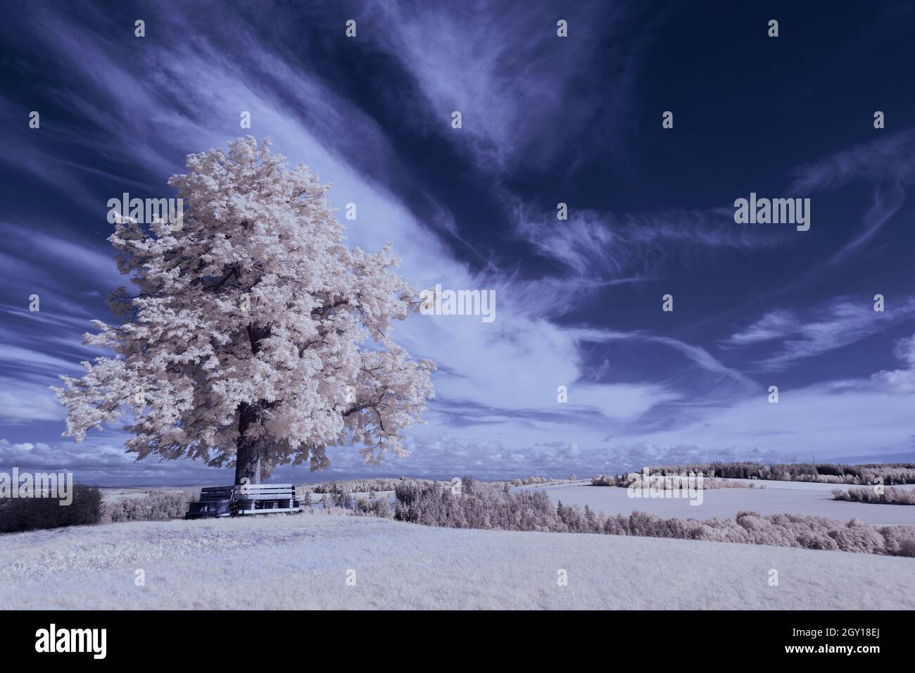 Infrared landscape with glowing white vegetation using 720nm filter ...