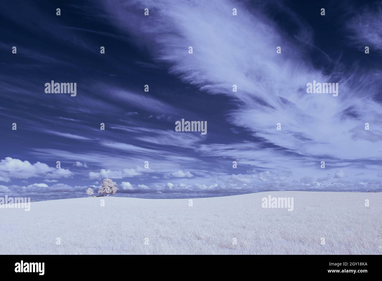 Infrared landscape with glowing white vegetation using 720nm filter ...