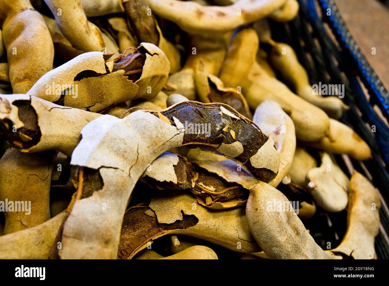 Basket of cracking bean pods at a grocery store Stock Photo - Alamy