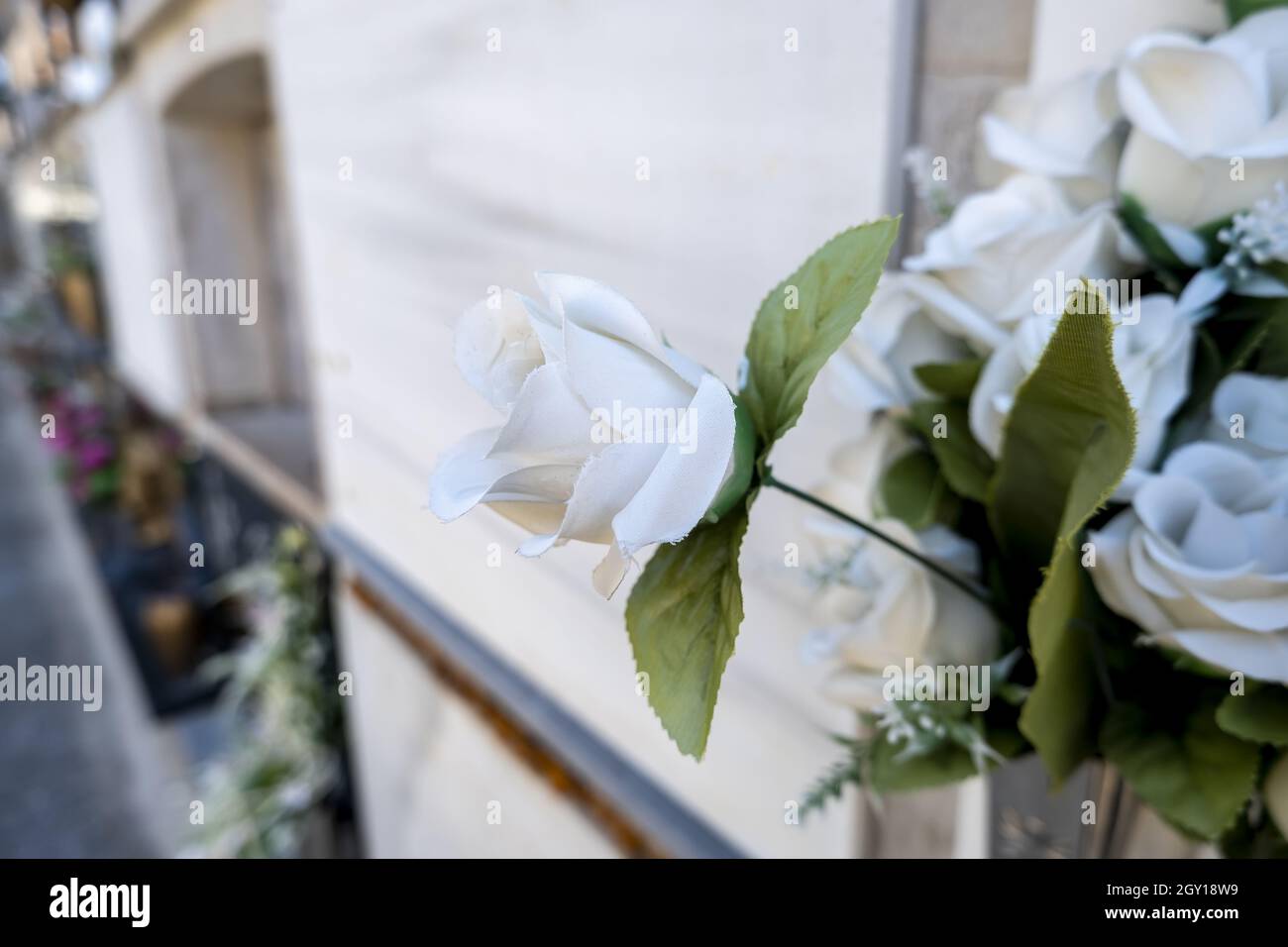 Detail of reminder flowers in a cemetery, memorial tribute Stock Photo ...