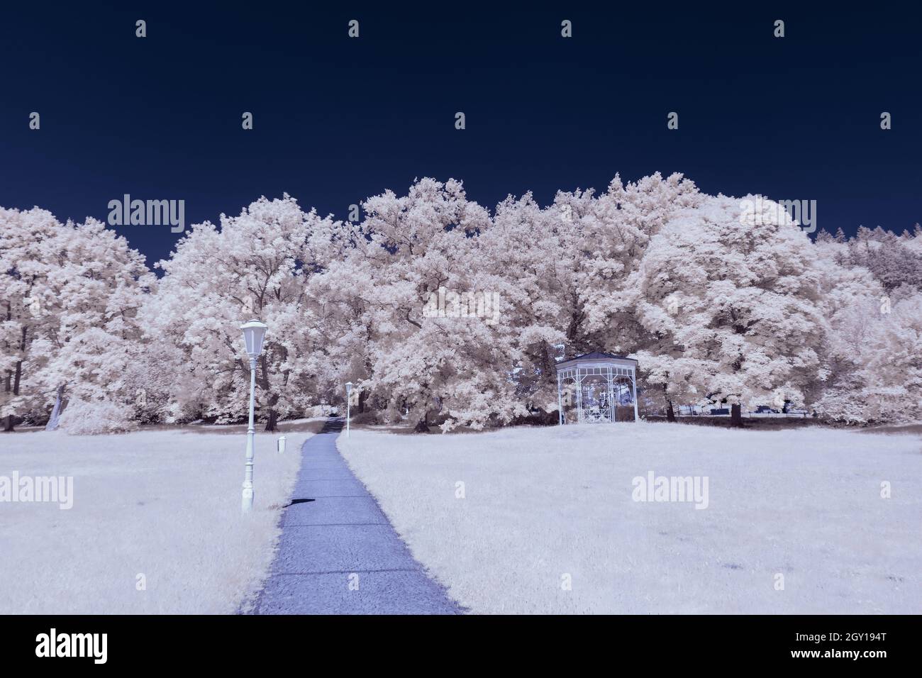 Infrared landscape with glowing white vegetation using 720nm filter ...