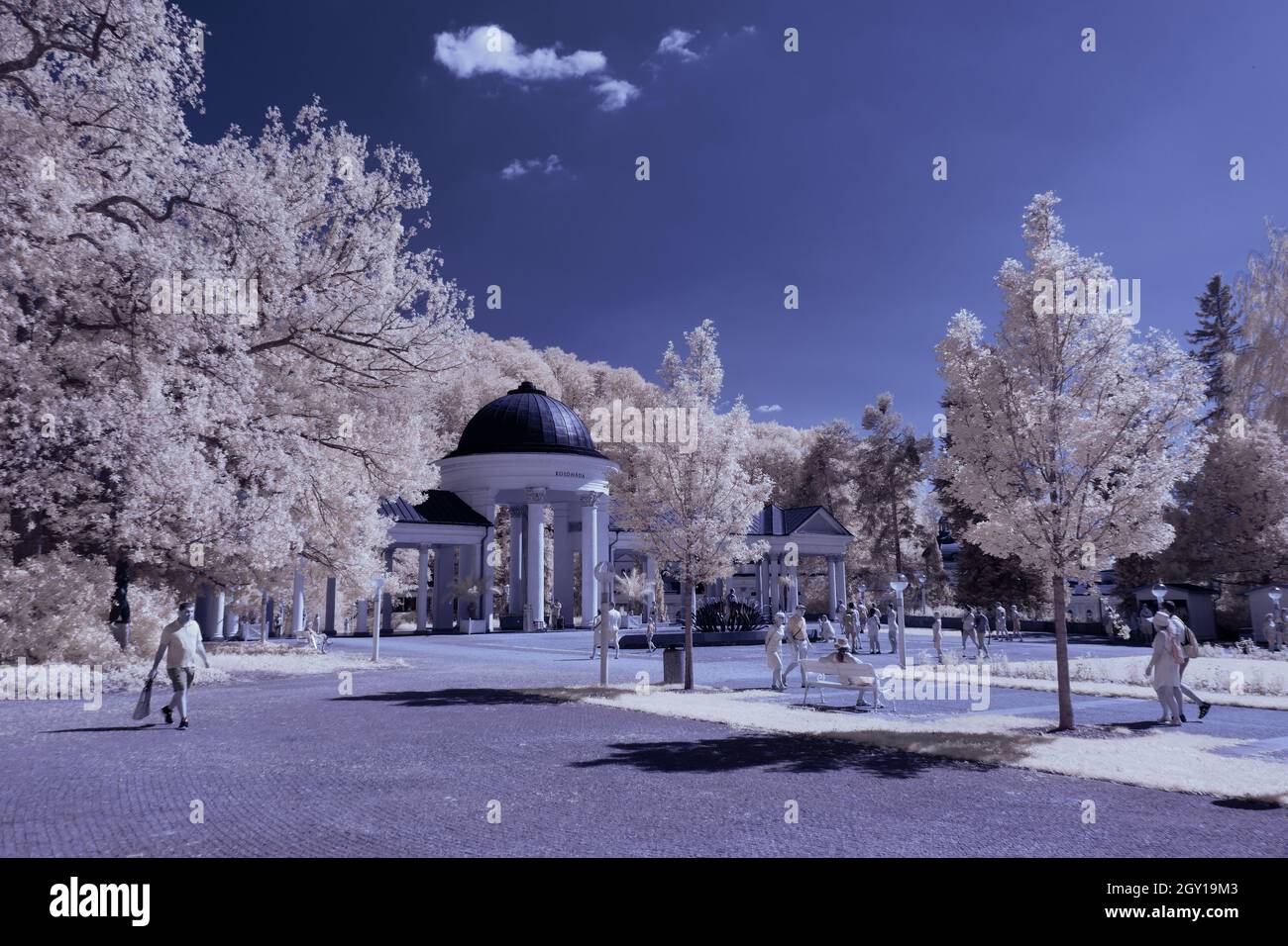 Infrared landscape with glowing white vegetation using 720nm filter ...