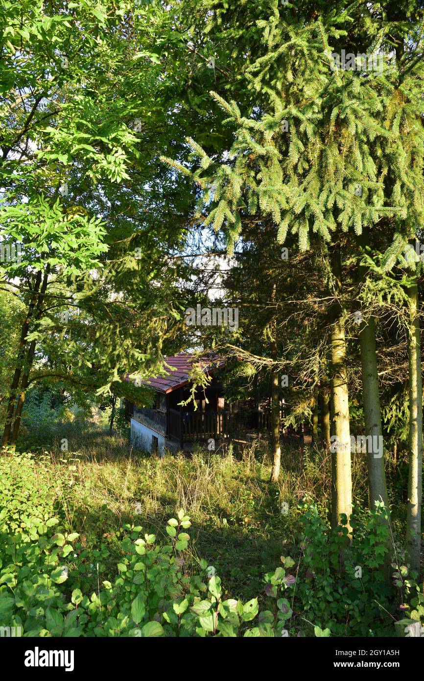 House among trees hi-res stock photography and images - Alamy