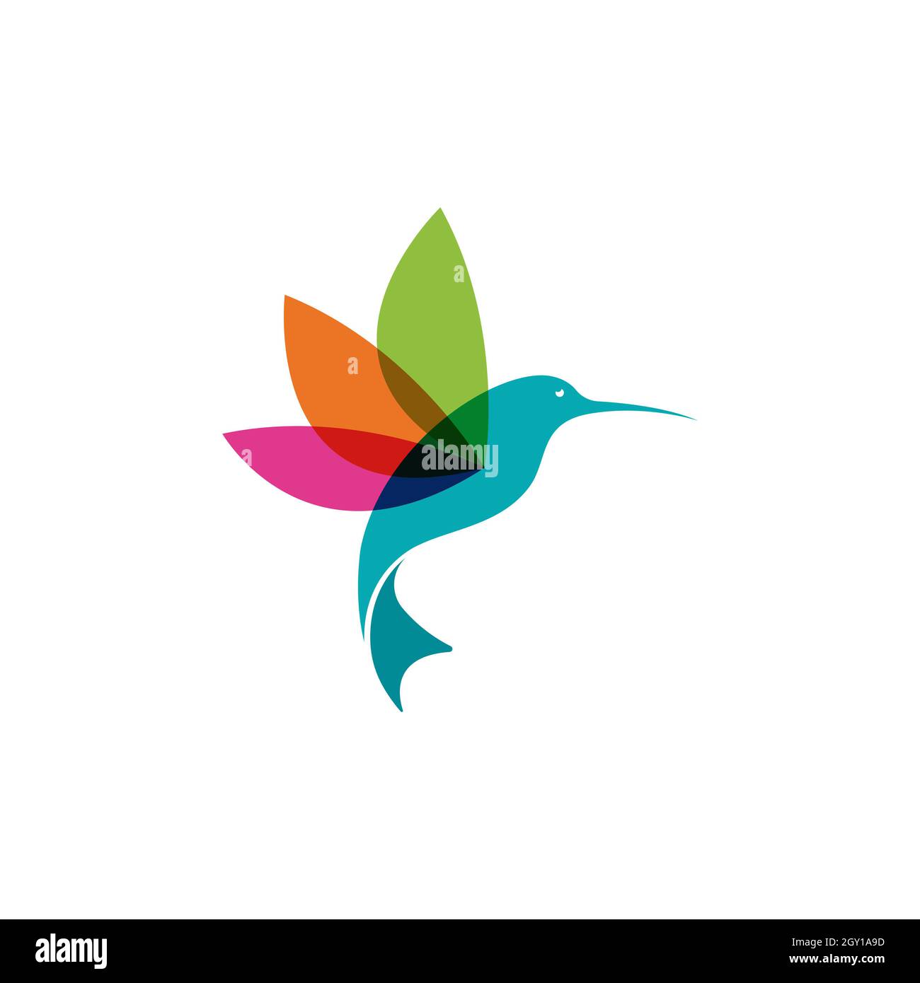 Most beautiful humming birds Cut Out Stock Images & Pictures - Alamy