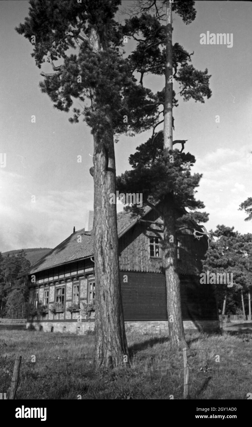 In der Kuranstalt "Jungborn" von Rudolf Just im Harz, Deutschland ...