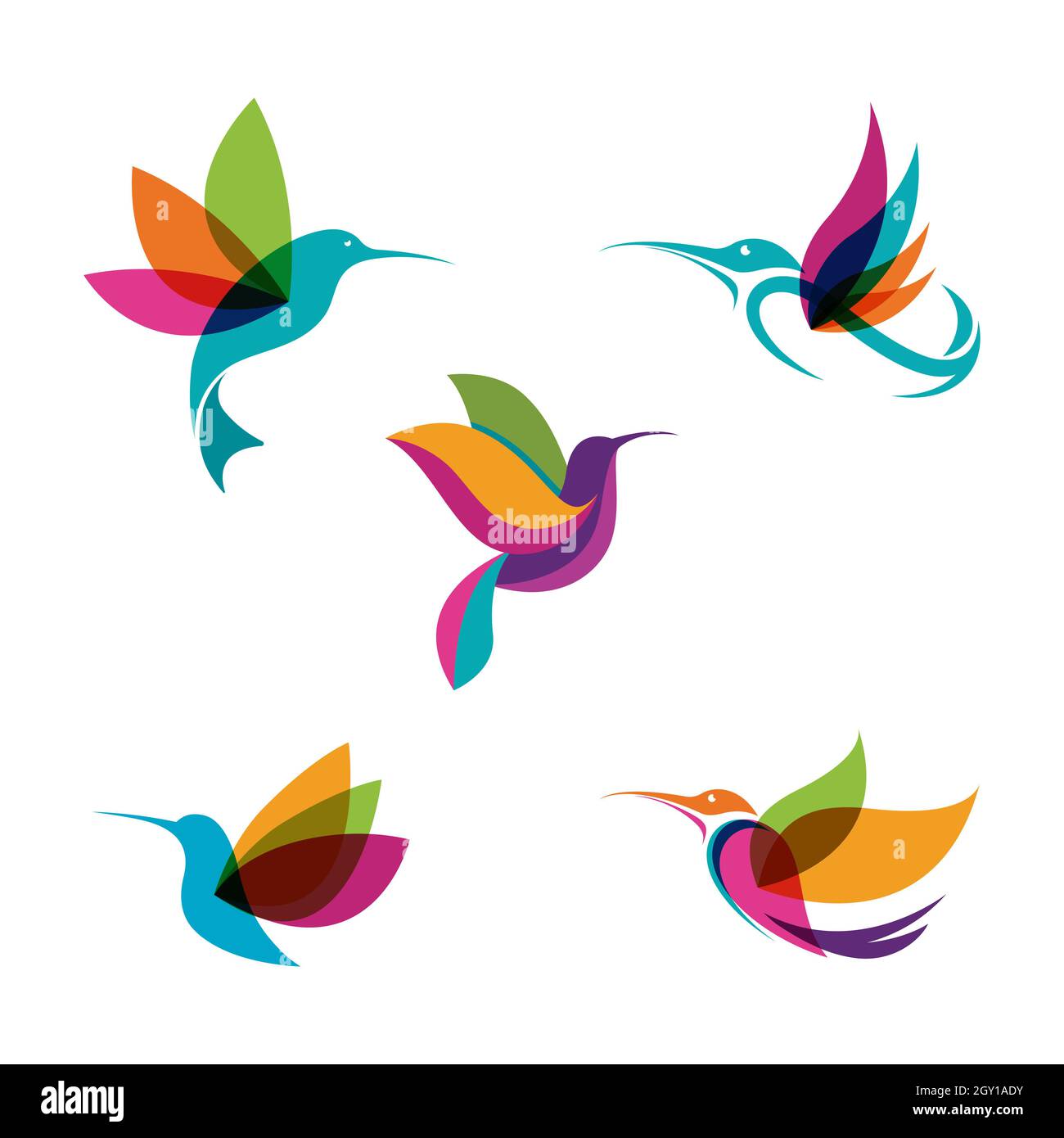 Humming bird Vector icon design illustration Template Stock Photo - Alamy