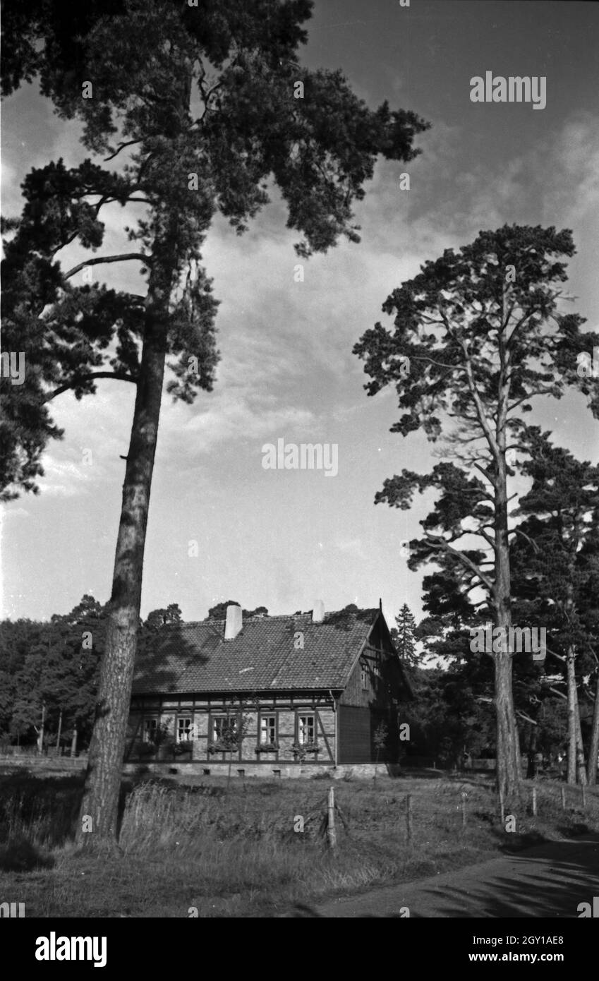 In der Kuranstalt "Jungborn" von Rudolf Just im Harz, Deutschland ...