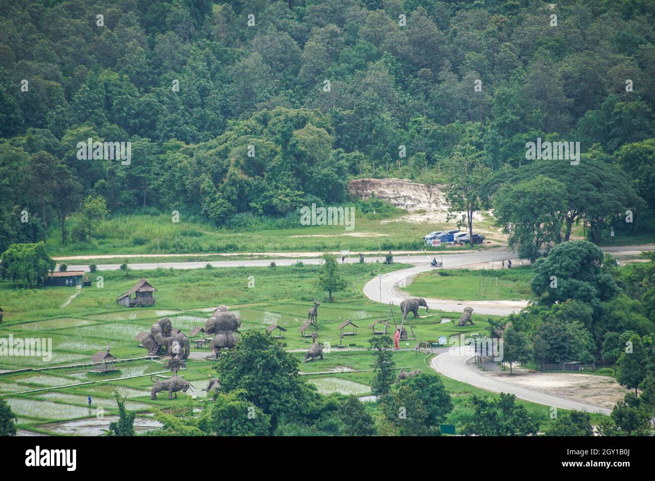 Zoo and animals and aerial hi-res stock photography and images - Alamy