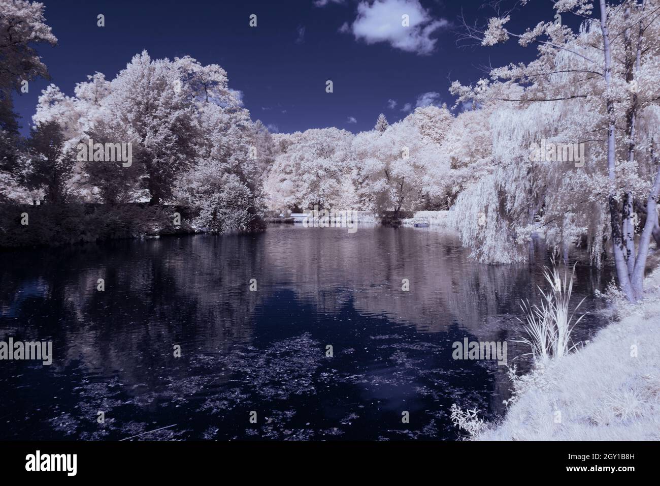 Infrared landscape with glowing white vegetation using 720nm filter ...