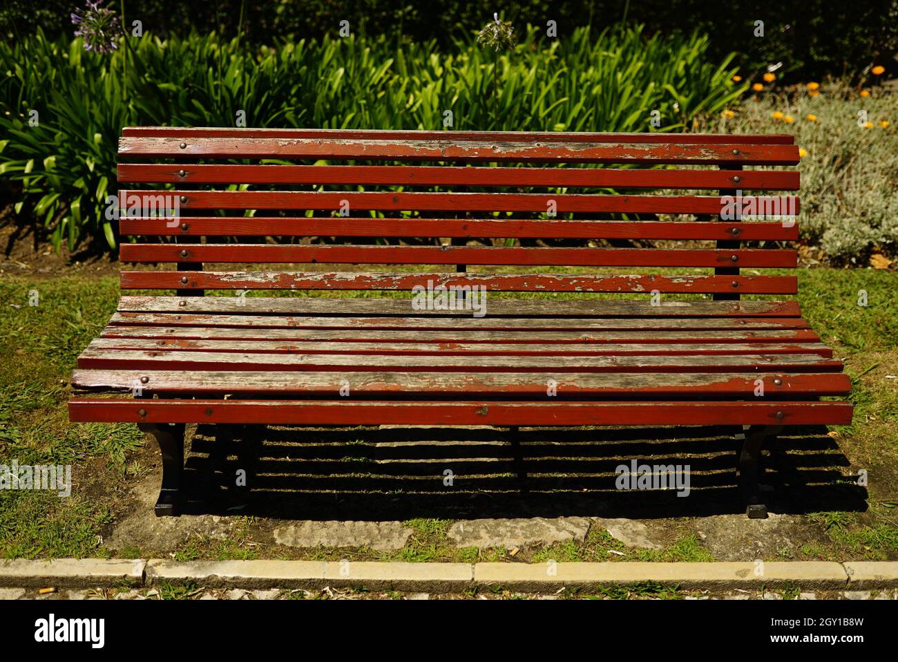 Closeup shot of a red wooden bench in a garden during the day Stock ...