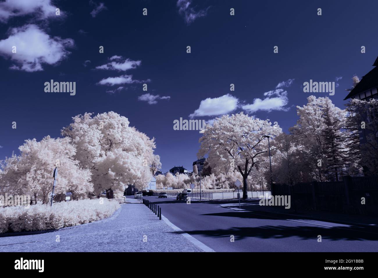 Infrared landscape with glowing white vegetation using 720nm filter ...