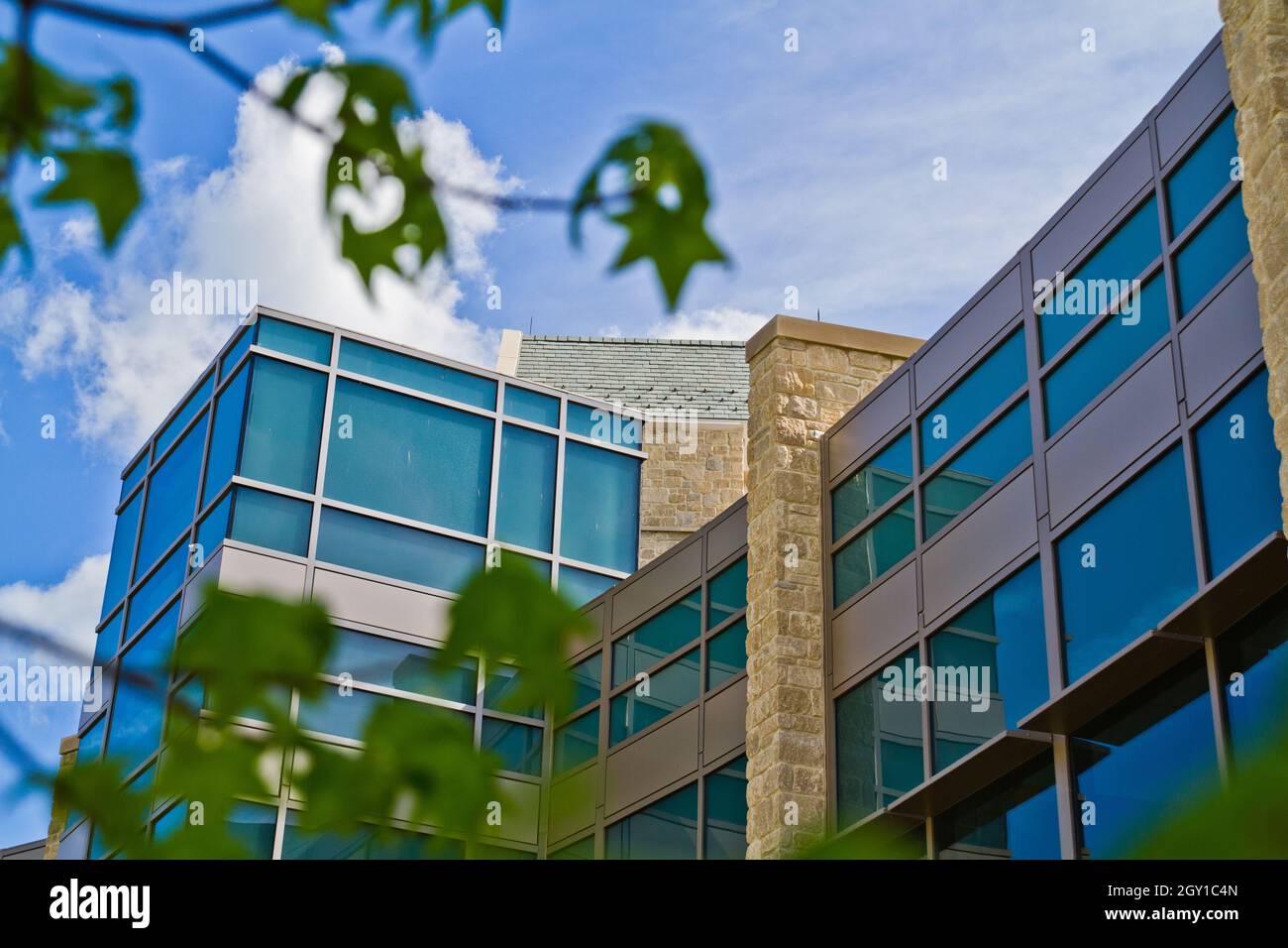 High-rise glass paneled building covered in windows on a blue sky Stock ...