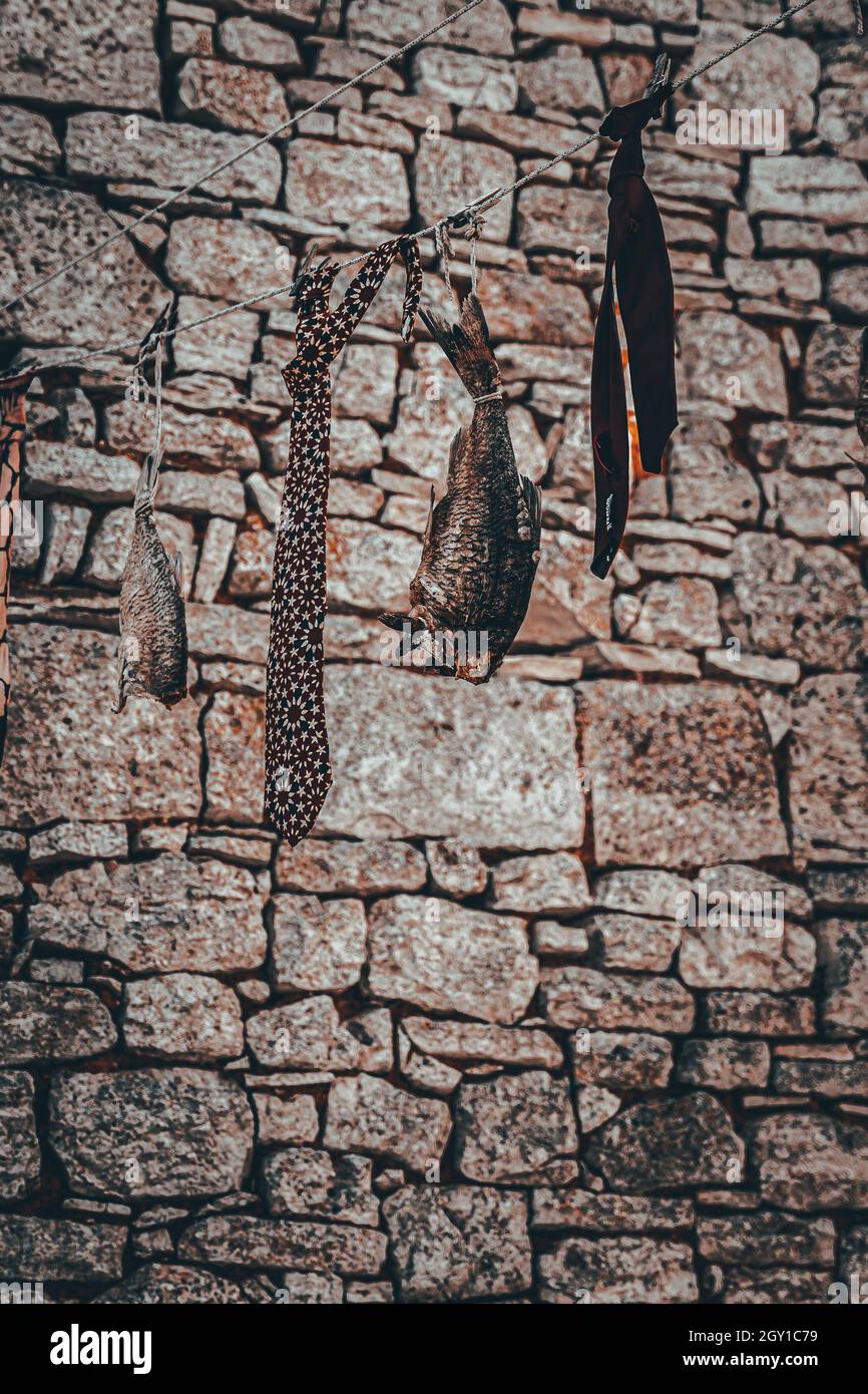 Vertical shot of ties and fishes drying on a rope Stock Photo - Alamy