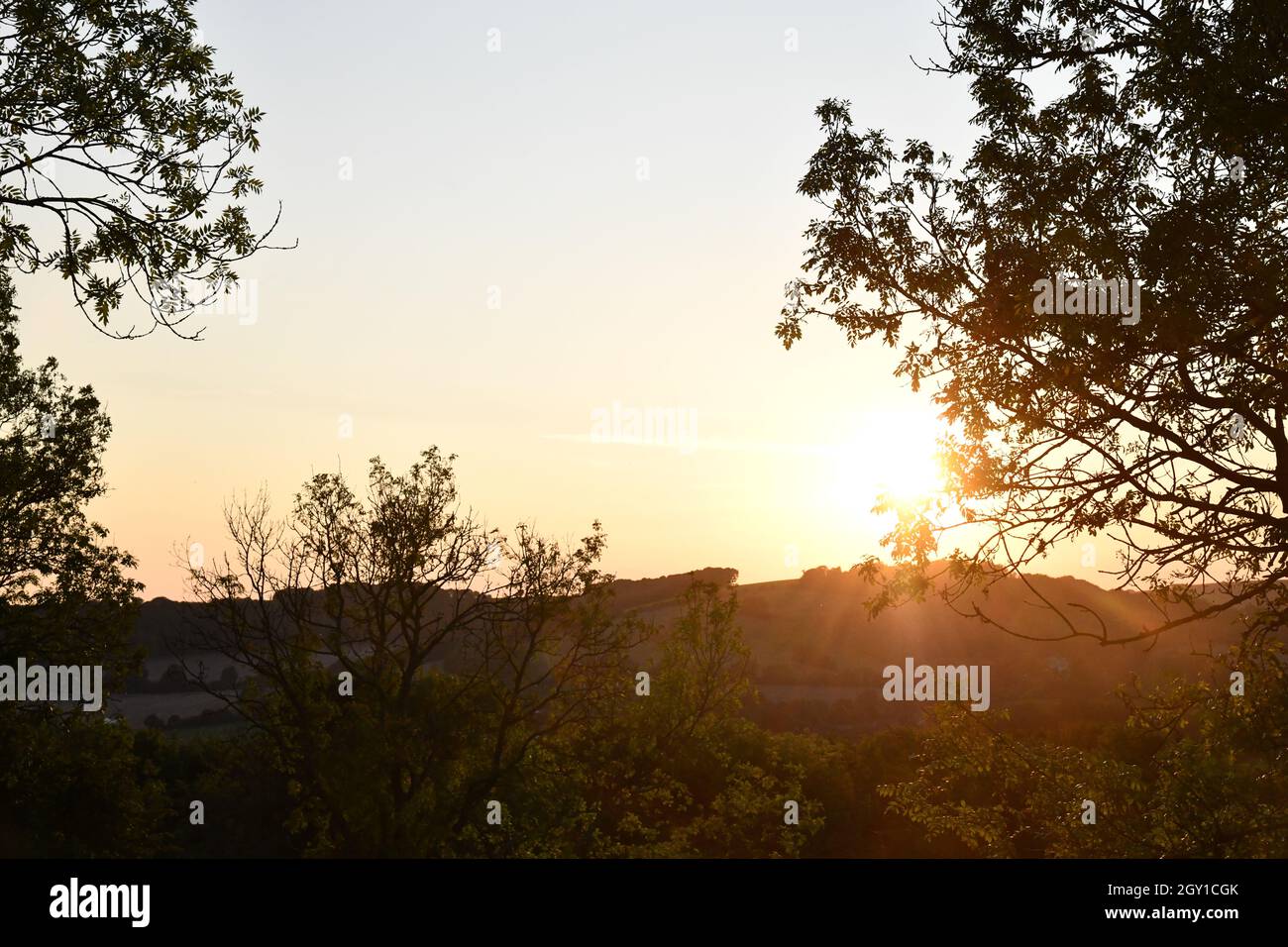 English hillside nature Stock Photo - Alamy
