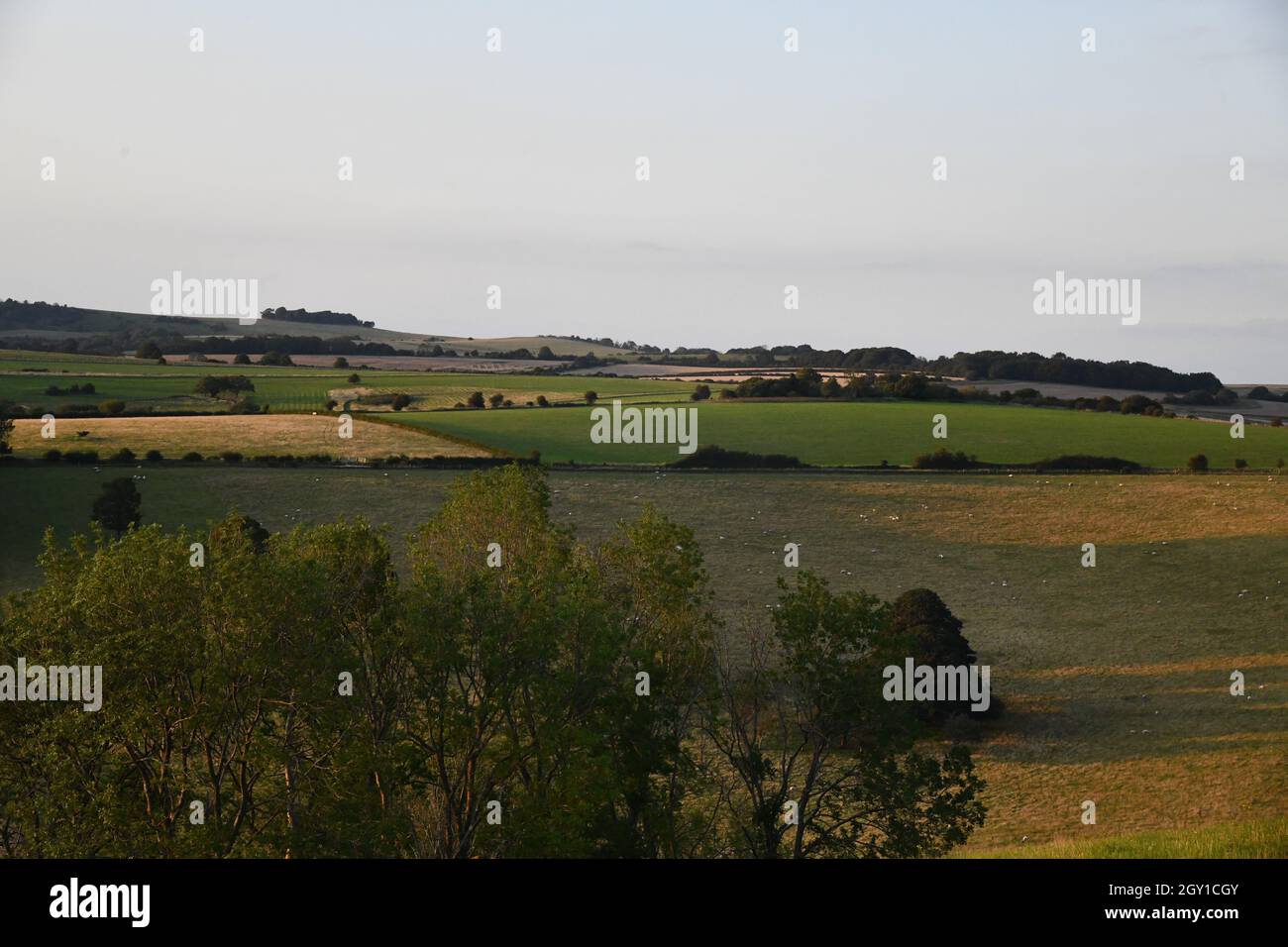 English hillside nature Stock Photo - Alamy