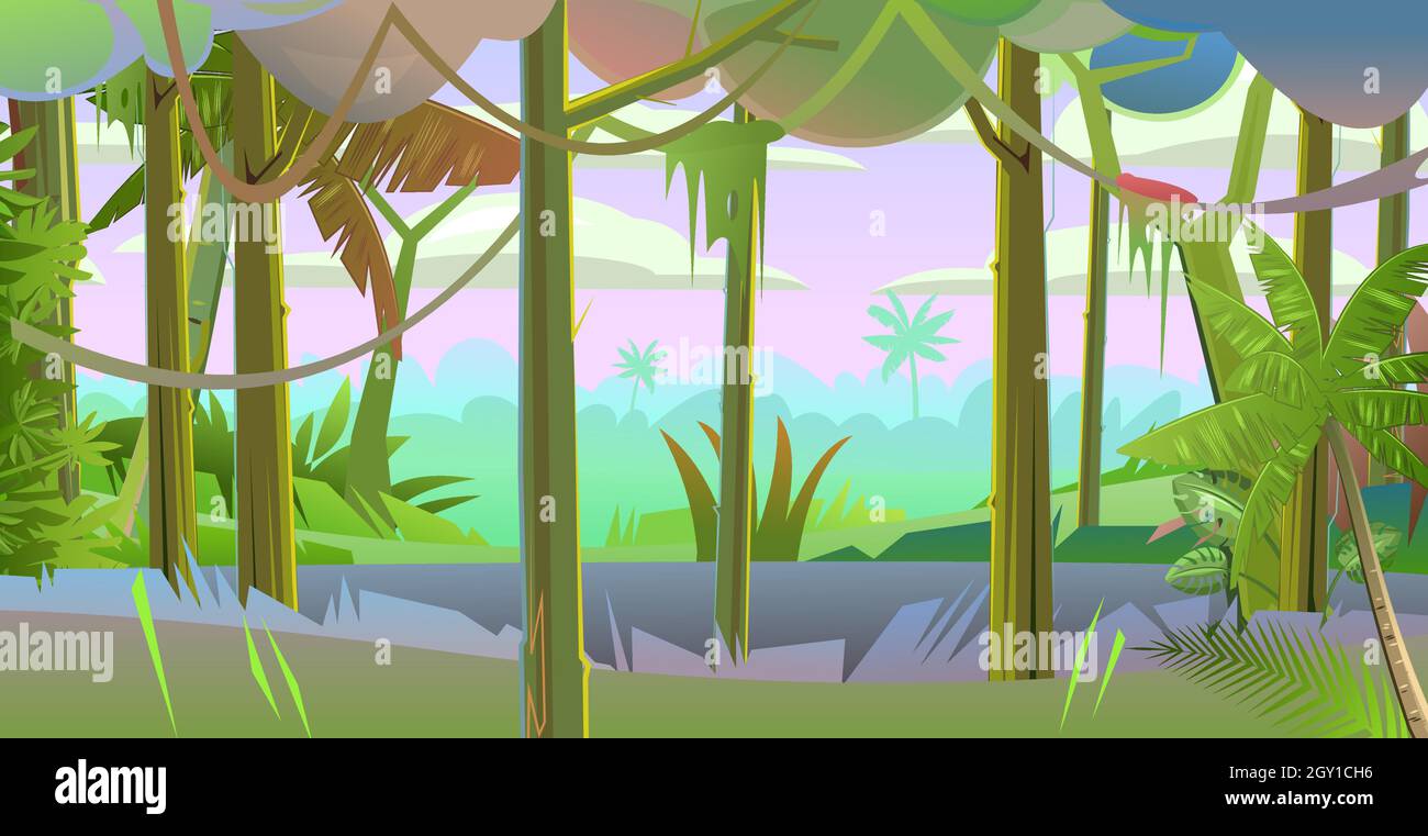 Tropical Rainforest Sunset Background