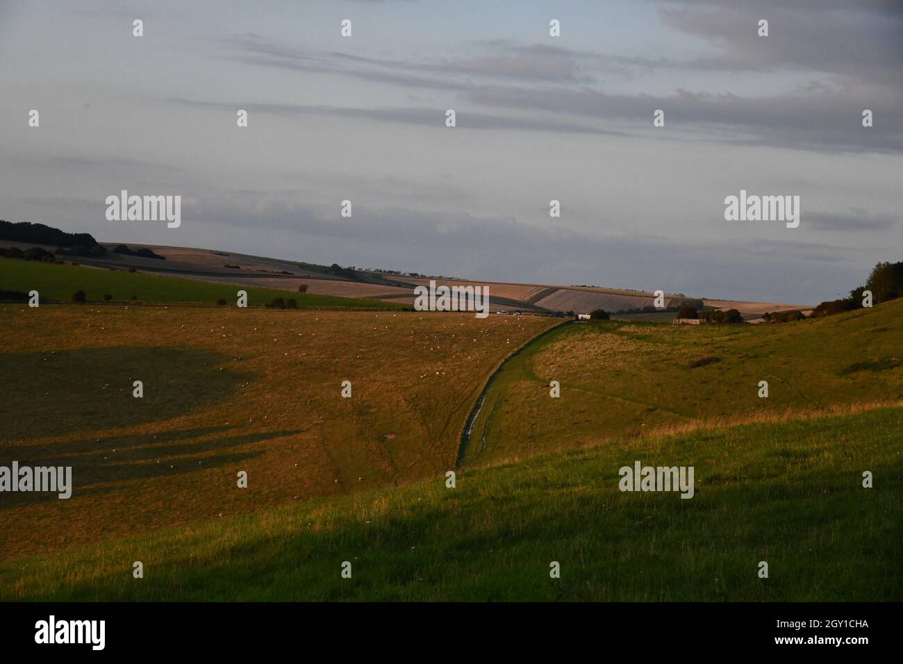 English hillside nature Stock Photo - Alamy