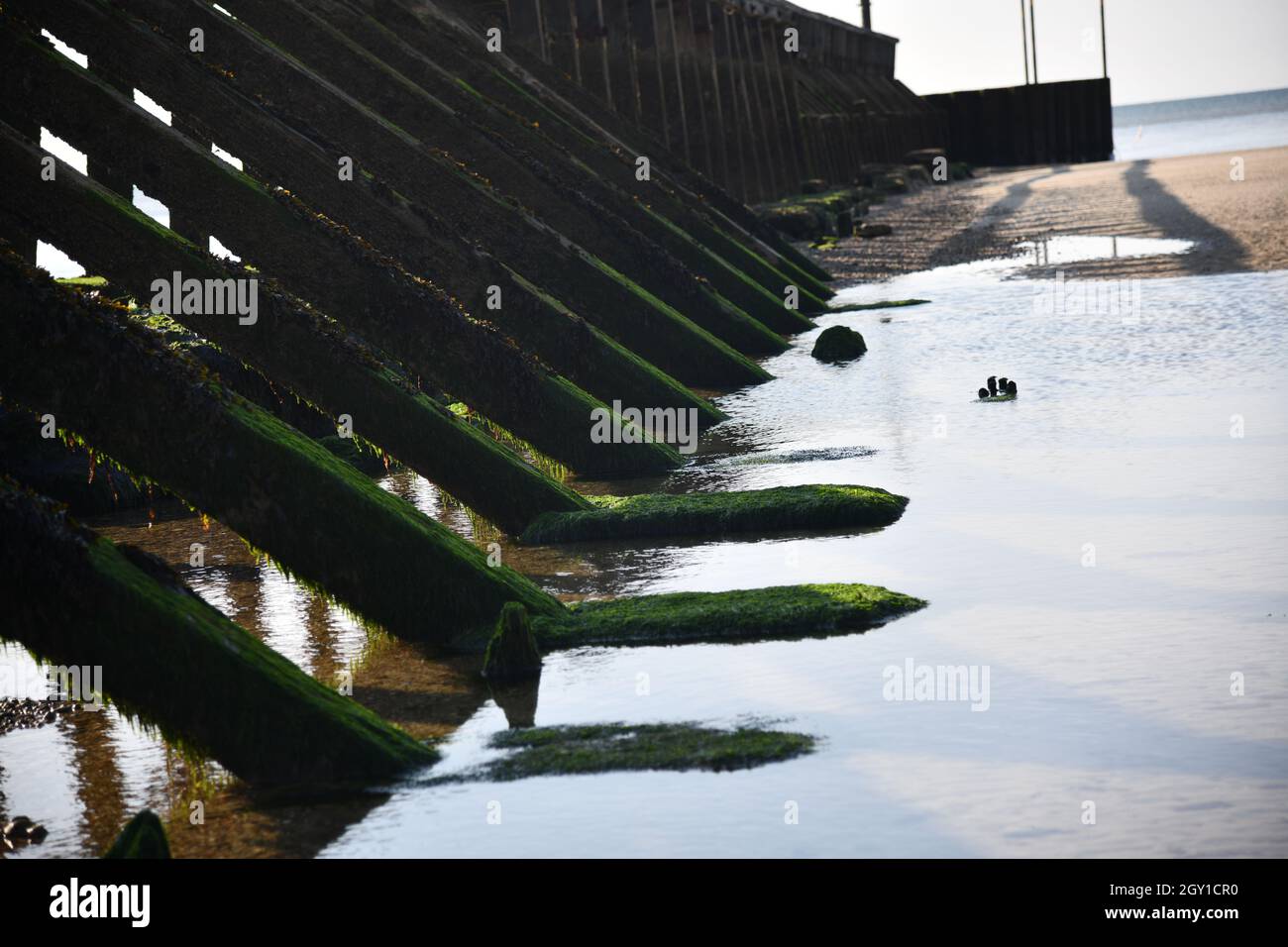 Exposed groynes hi-res stock photography and images - Alamy