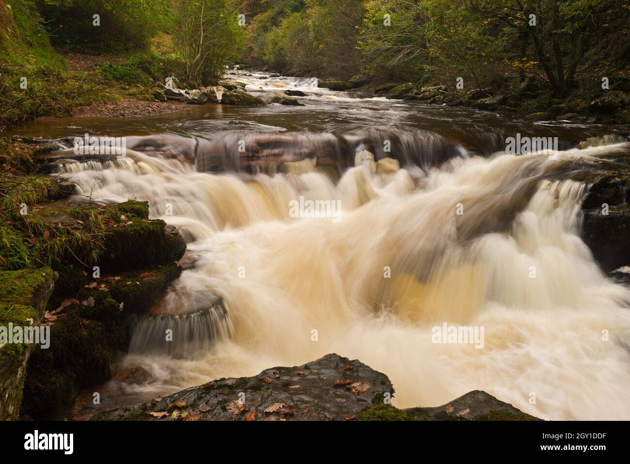 Rivers in exmoor national park hi-res stock photography and images - Alamy