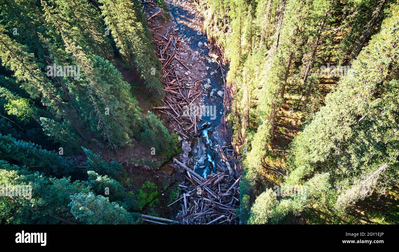 Aerial of damage from forest fire of river filled with large logs ...