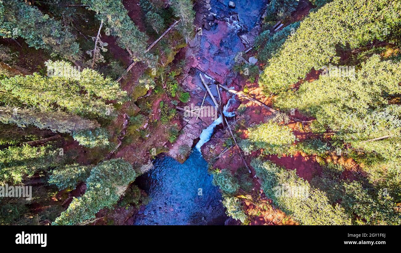 Aerial looking down at canyon gorge with red rocks and pine trees Stock ...