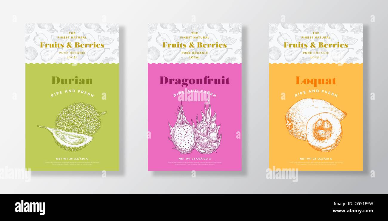 Fruits and Berries Pattern Label Templates Set. Vector Packaging Design ...