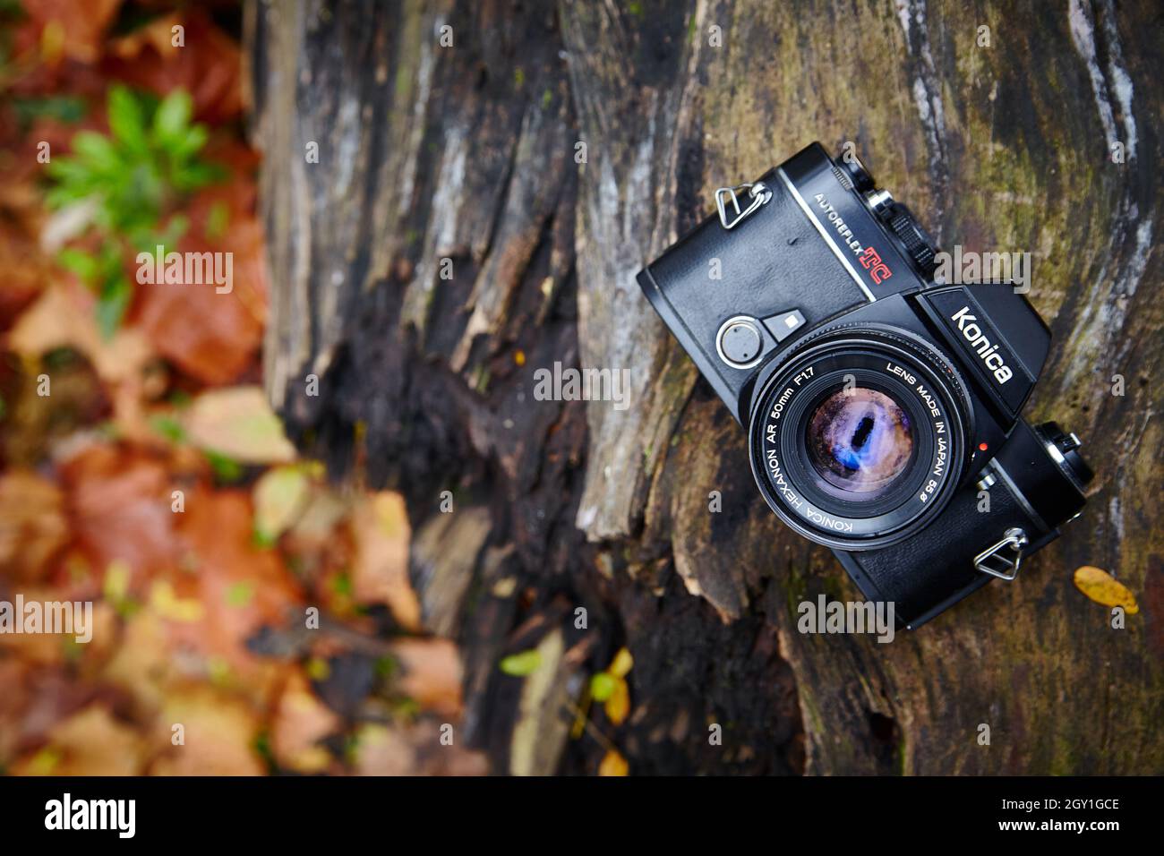 Nikon antique camera on a log that's fallen on a leaf-covered ground ...