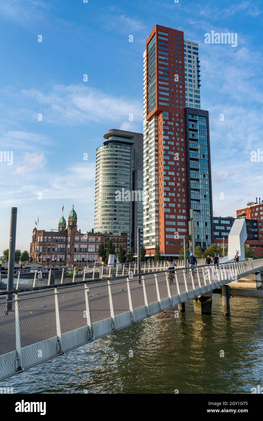 View of the skyline of Rotterdam, on the Nieuwe Maas, river, high-rise ...