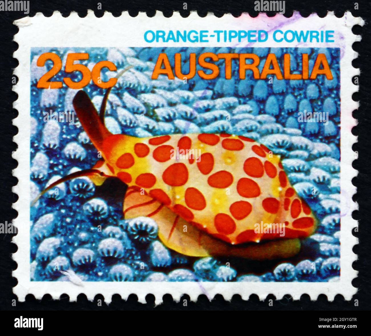 AUSTRALIA - CIRCA 1984: a stamp printed in the Australia shows Orange ...