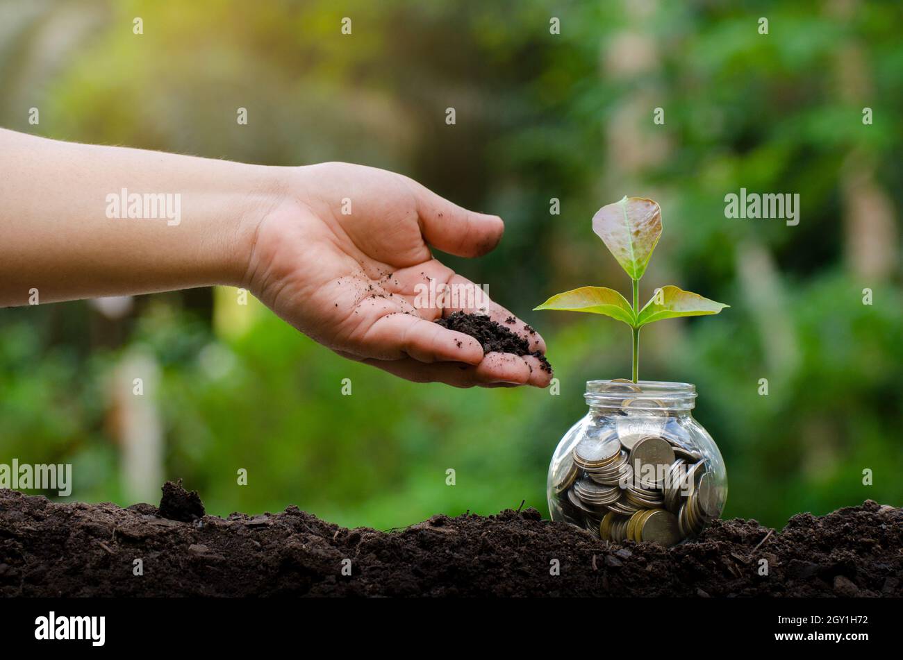 Wealth growth invest investment hi-res stock photography and images - Alamy