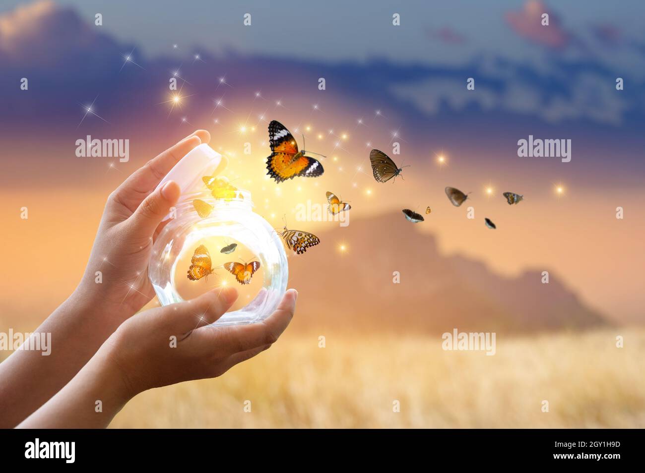 The girl frees the butterfly from the jar, golden blue moment Concept ...