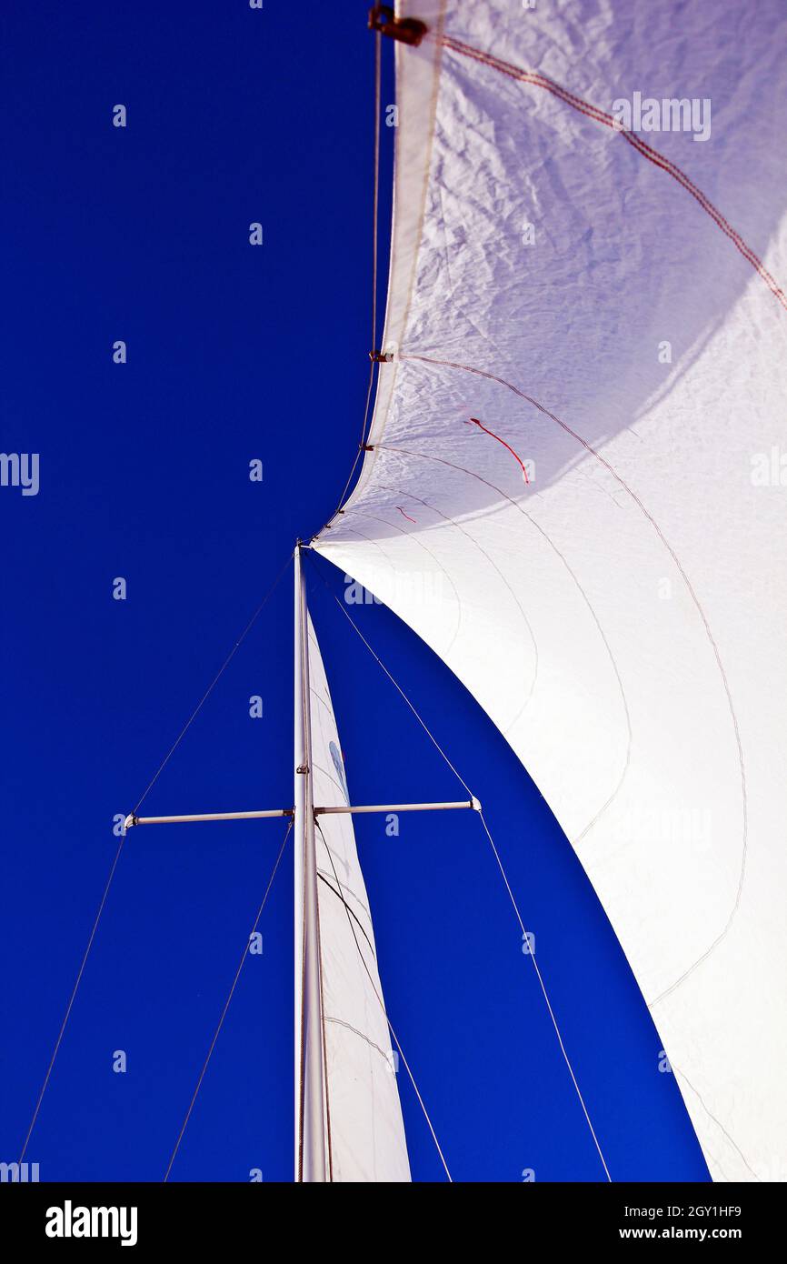Close up shot of a white big sail of a boat has red lines on it, under ...
