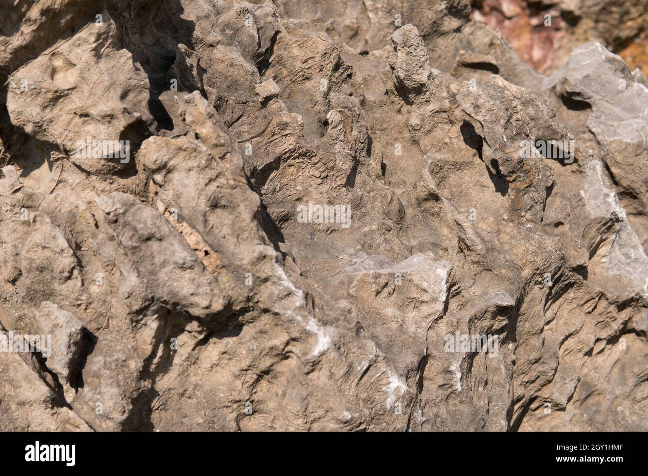 effects of karst visible on a detail of limestone rock Stock Photo - Alamy