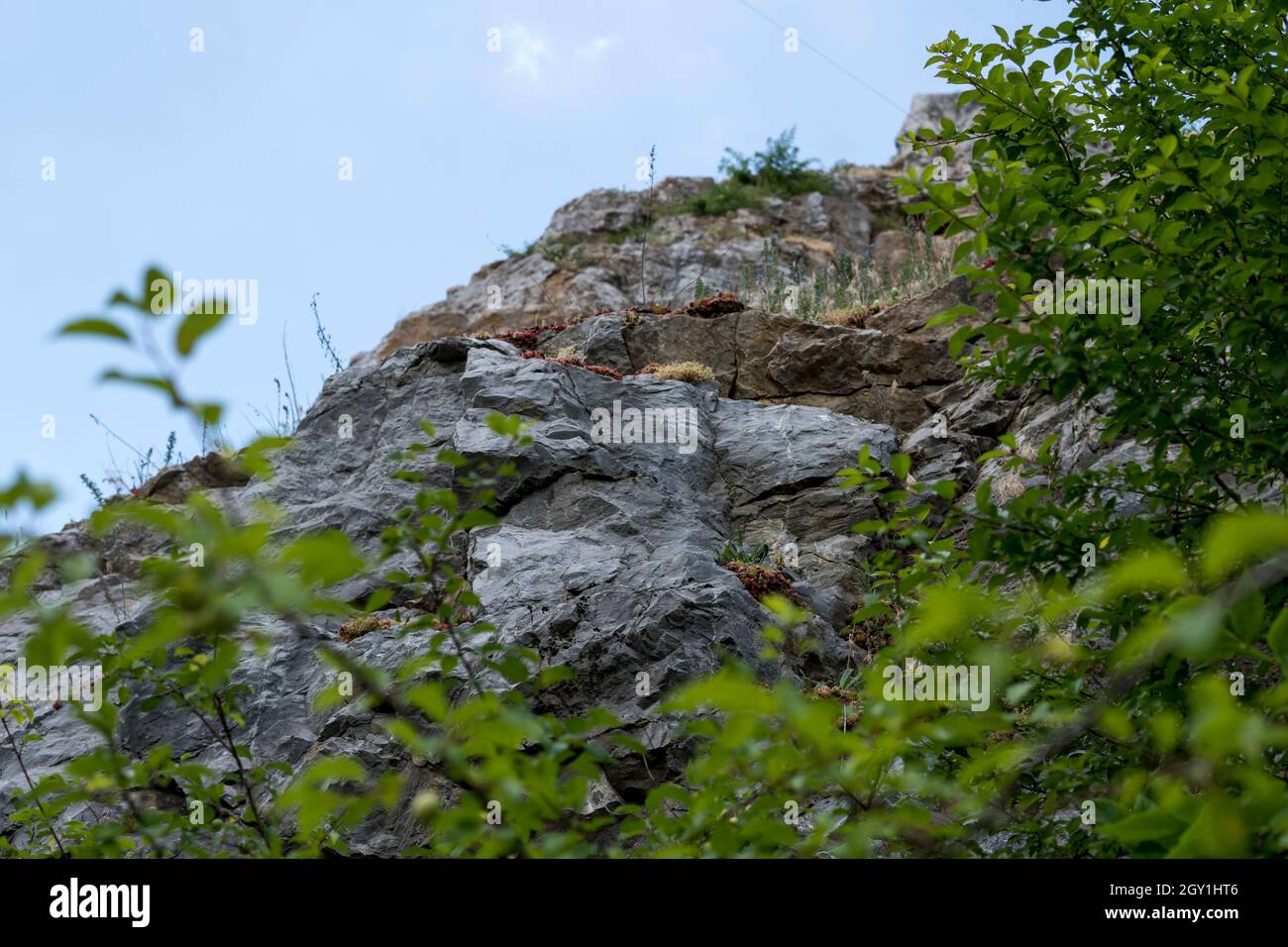 geological landscape of former limestone quarry and current nature ...
