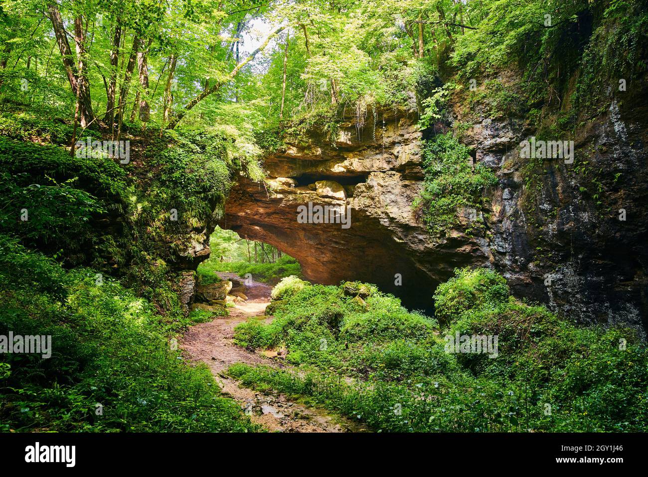 Outdoor trail through stone arch in lush forest Stock Photo - Alamy