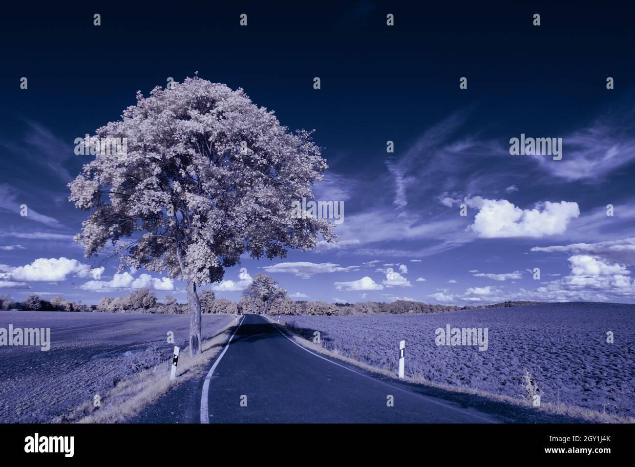 Infrared landscape with glowing white vegetation using 720nm filter ...