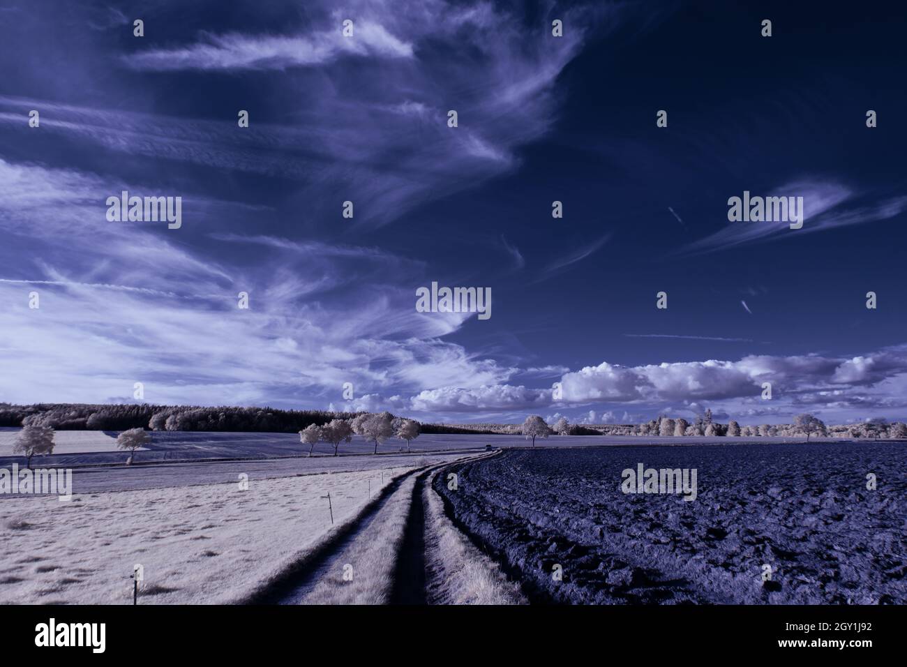 Infrared landscape with glowing white vegetation using 720nm filter ...