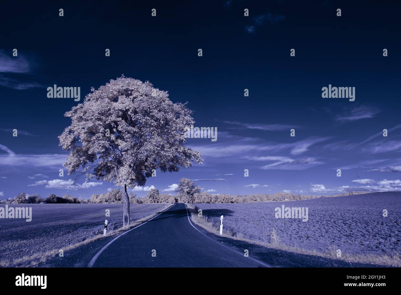 Infrared landscape with glowing white vegetation using 720nm filter ...