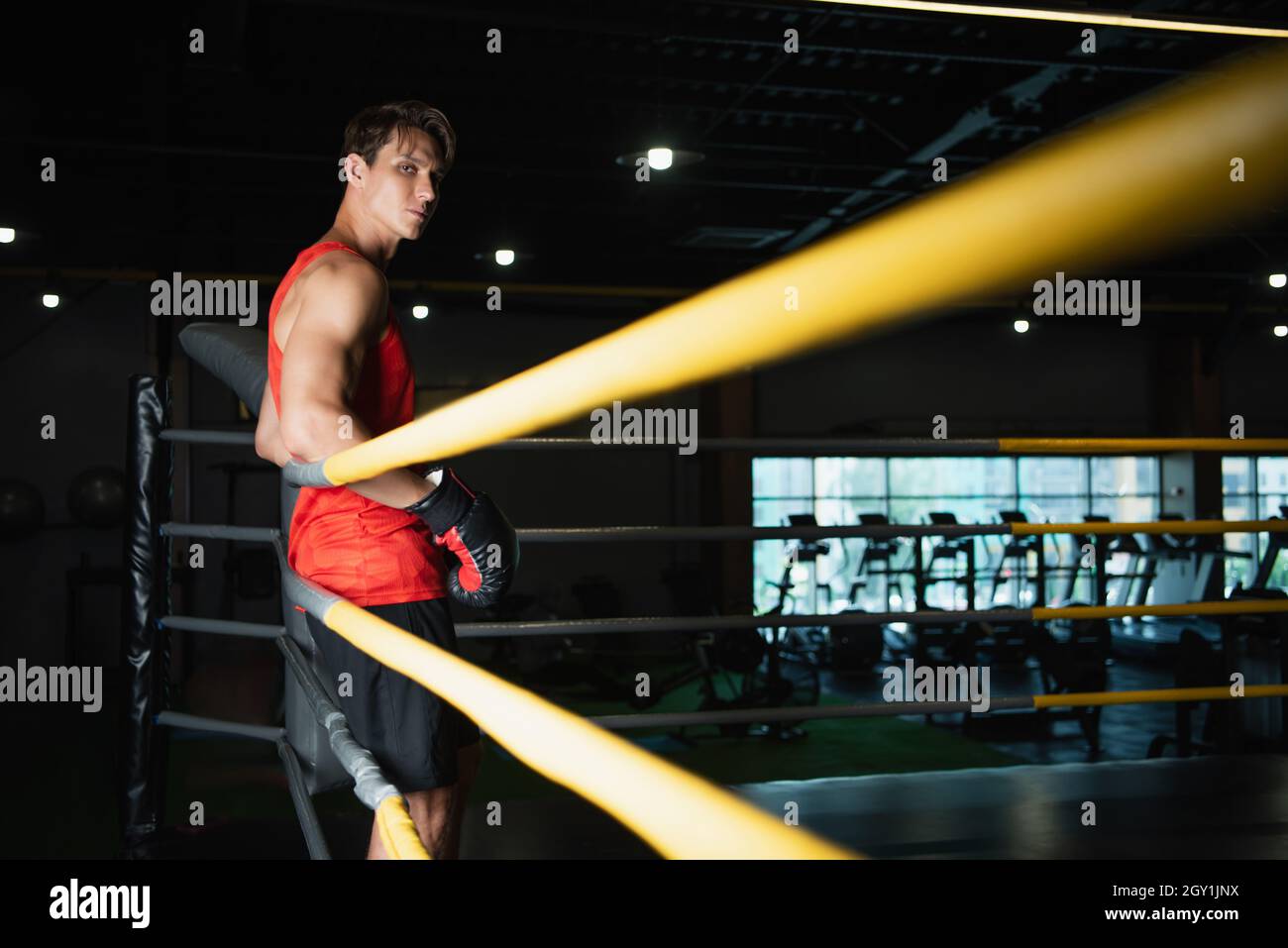 confident boxer looking at camera while leaning on ropes of ring in gym ...